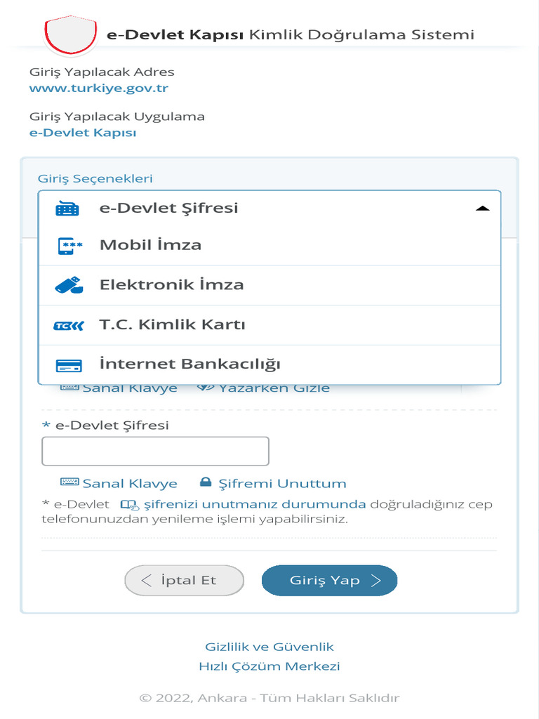 E-Devlet Kapısı | PDF