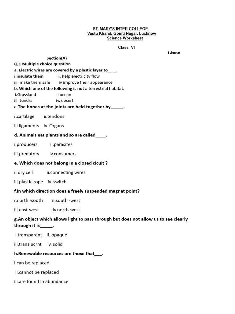 Class VI Science Worksheet | PDF