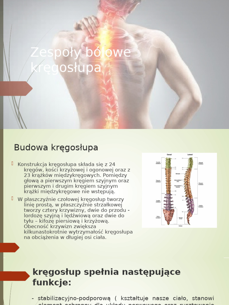 Zespo?y Bã Lowe Kr?gos?upa | PDF