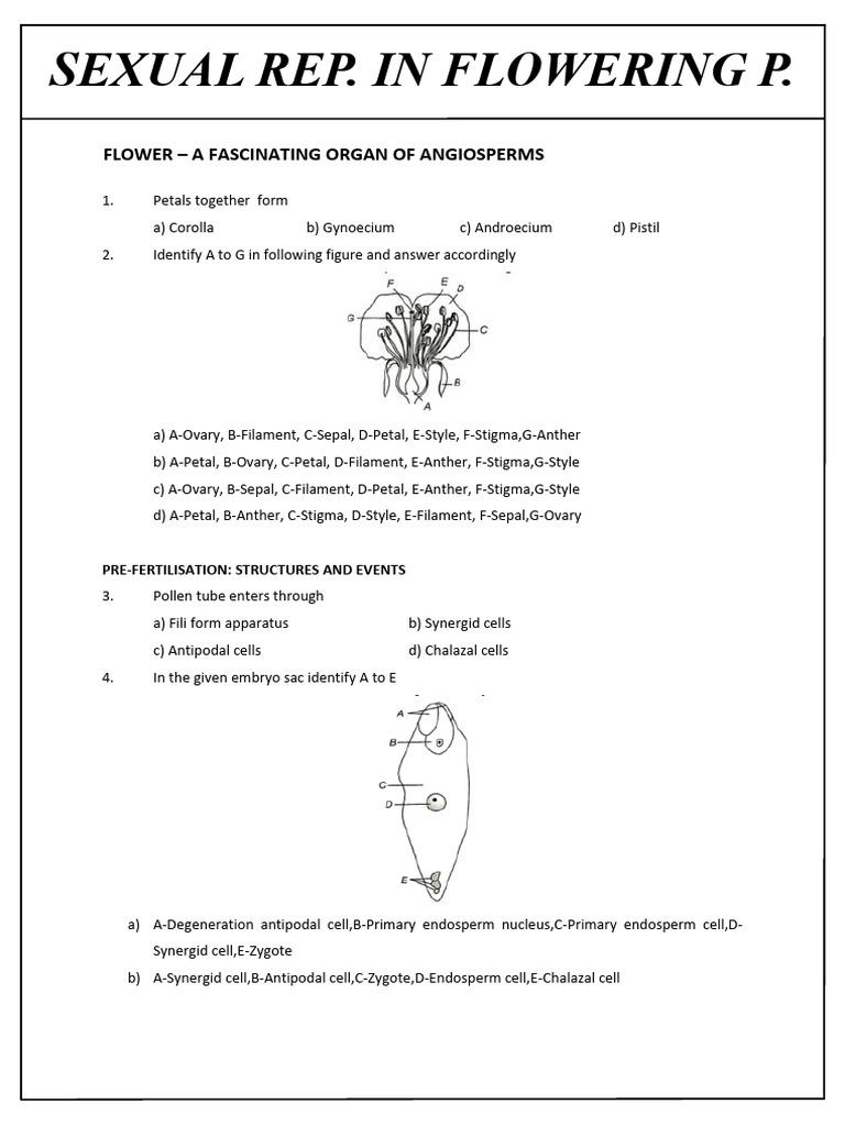 Sexual in fp 99.pdf | PDF