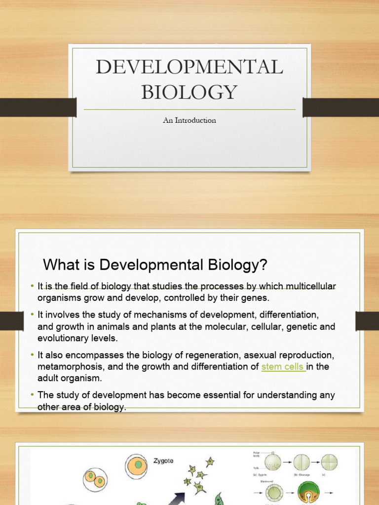 developmental biology introduction | PDF