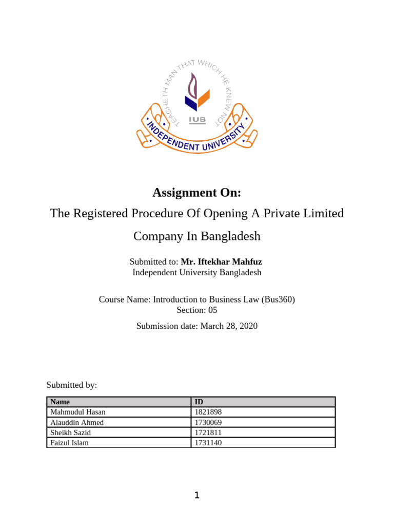 BUS360 Final Assignment | PDF