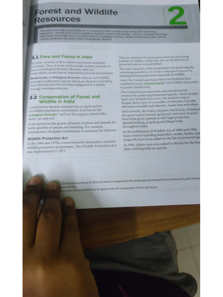 Image To PDF 20240907 13.16.39 | PDF