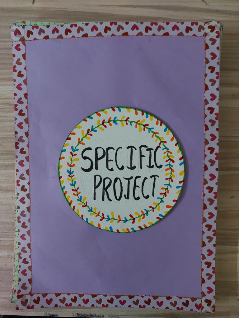 Accountancy Project Sample | PDF | Equity Securities