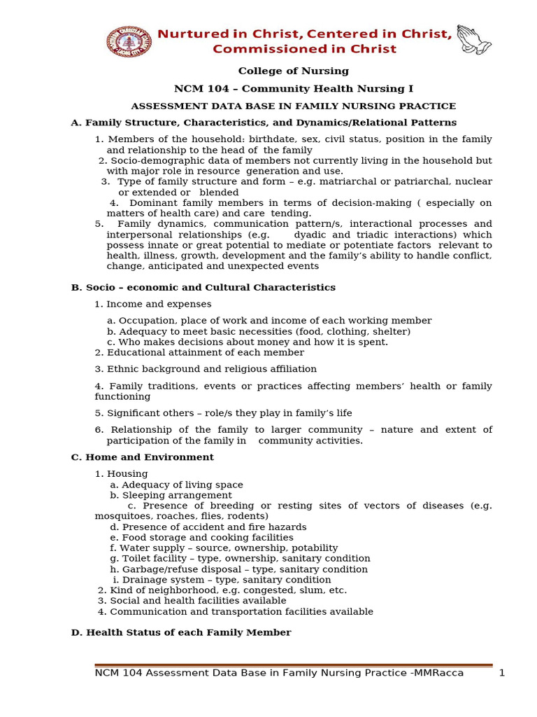 NCM 104 Assessment Tool in Family Health Nursing Word | PDF