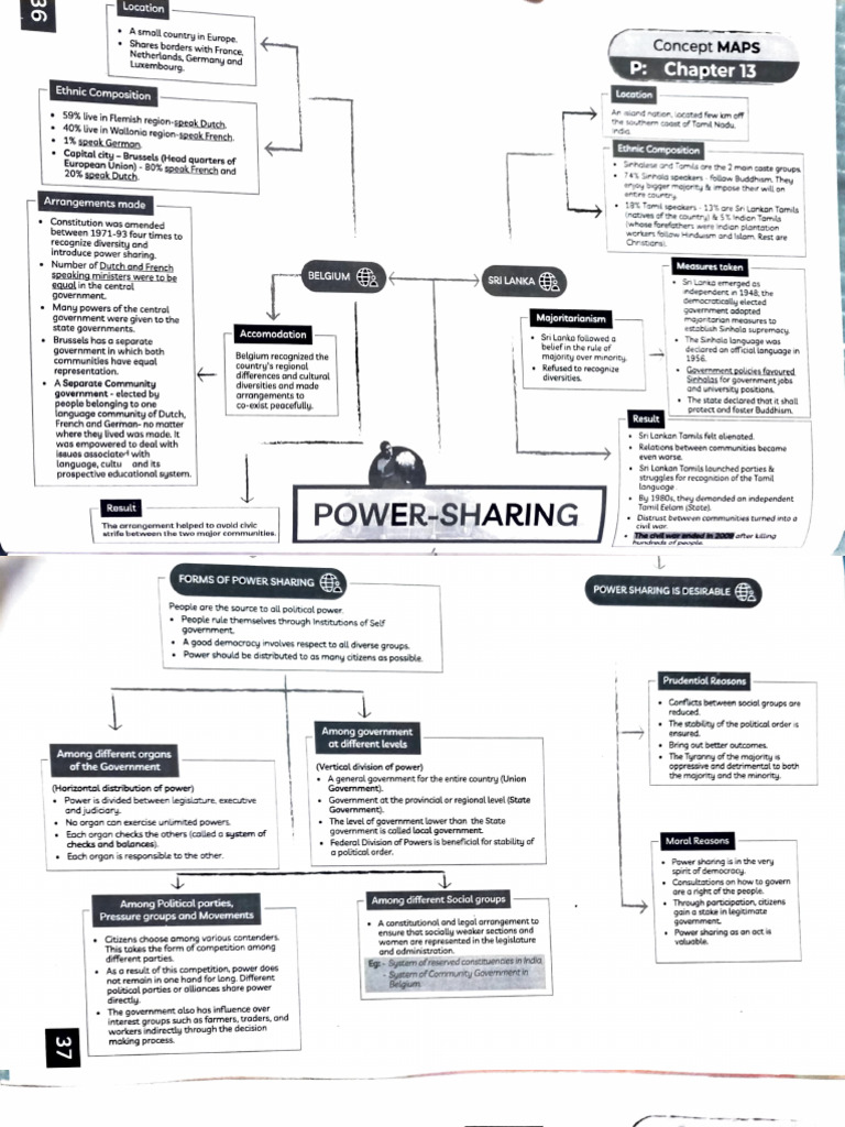 Political Science Flow Charts All Chapters | PDF
