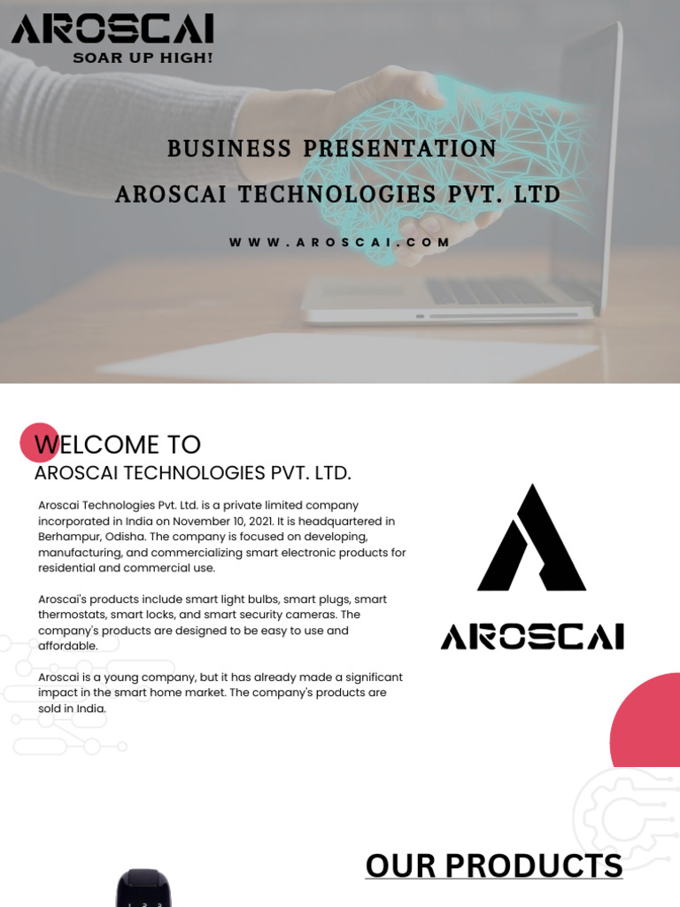 Business Presentation | PDF