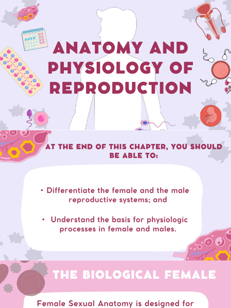 Anatomy and Physiology of Reproduction | PDF