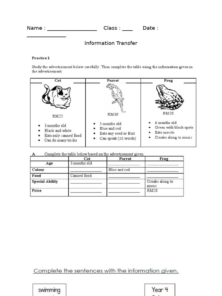 Information Transfer Worksheet | PDF