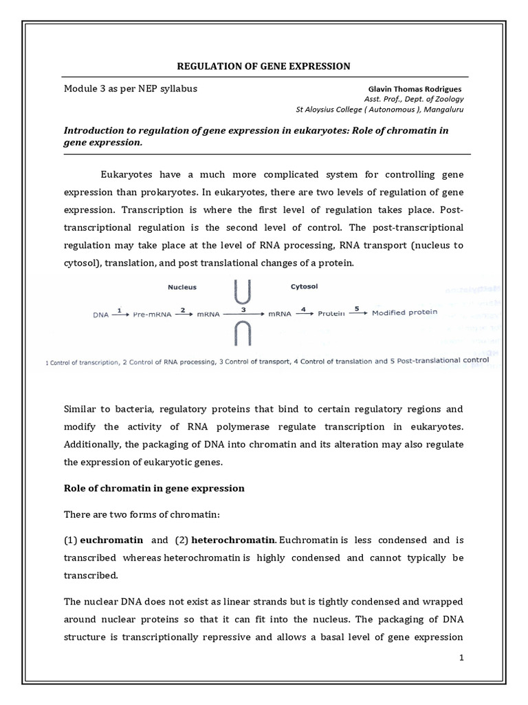 Regulation of Gene Expression Module 3 | PDF