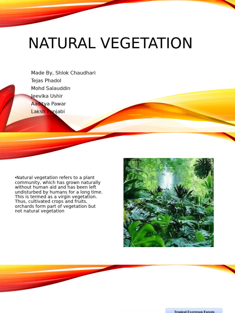 SST Project II | PDF