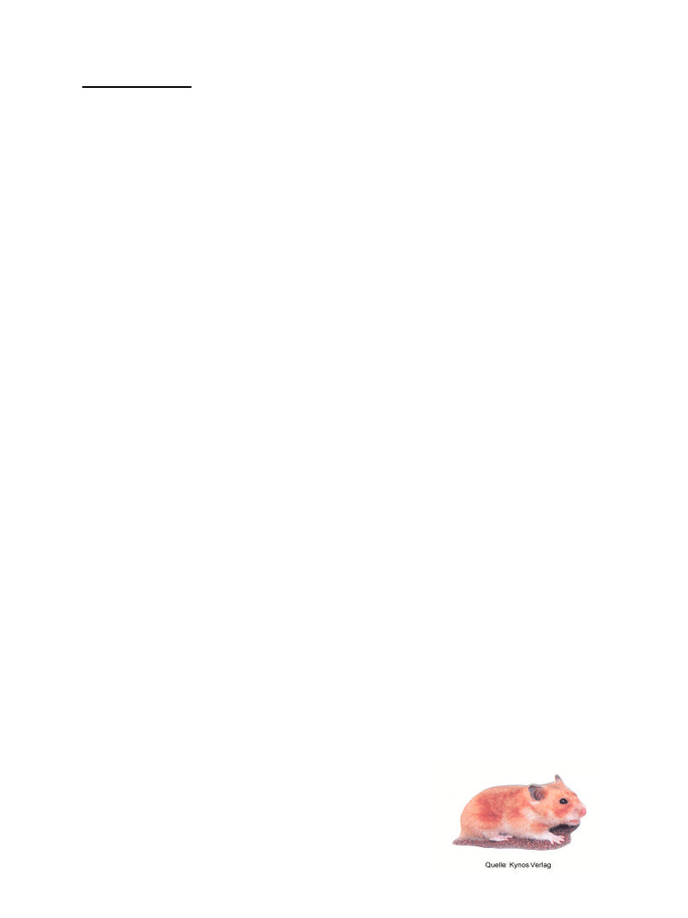 Hamster | PDF