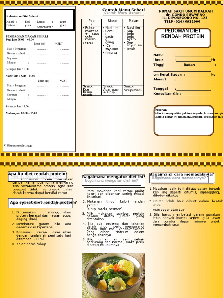 Leaflet Diet Rendah Protein-Siska | PDF