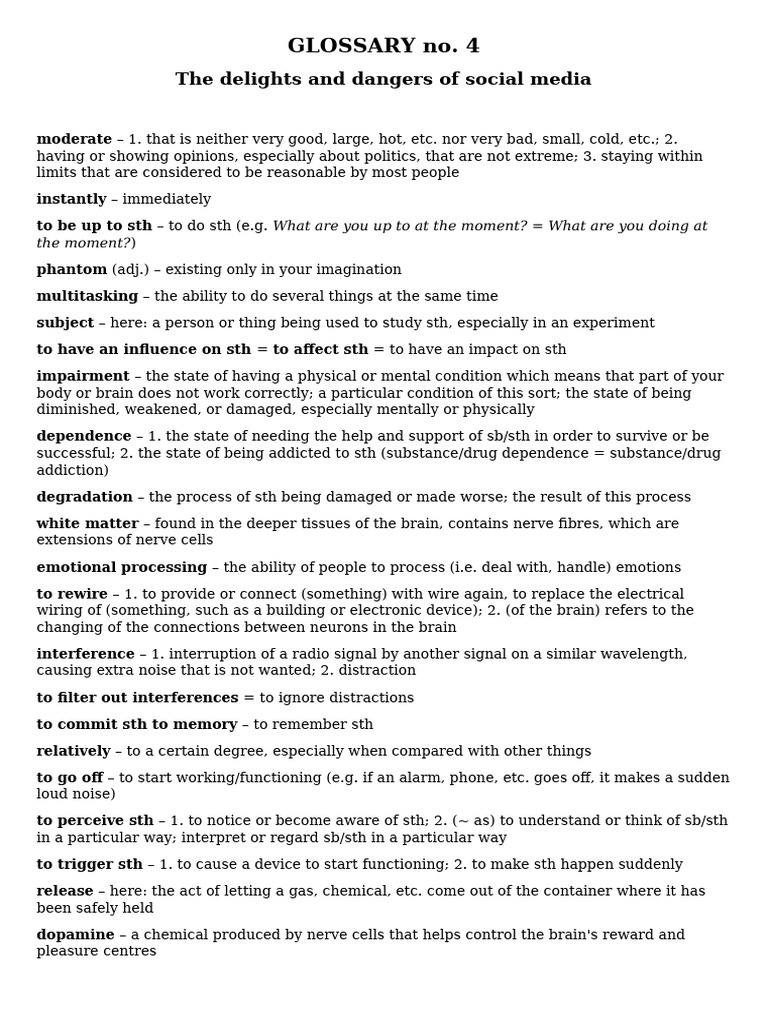 04 - The Delights and Dangers of Social Media - Glossary 2 | PDF