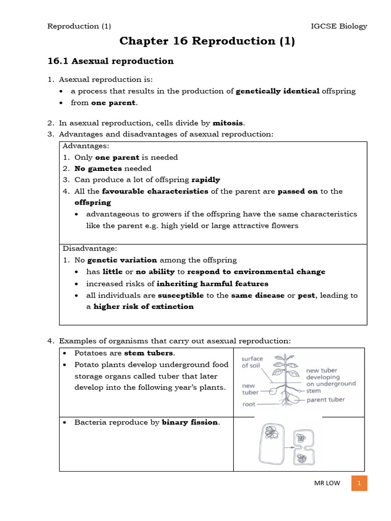 Chapter 16 Reproduction | PDF