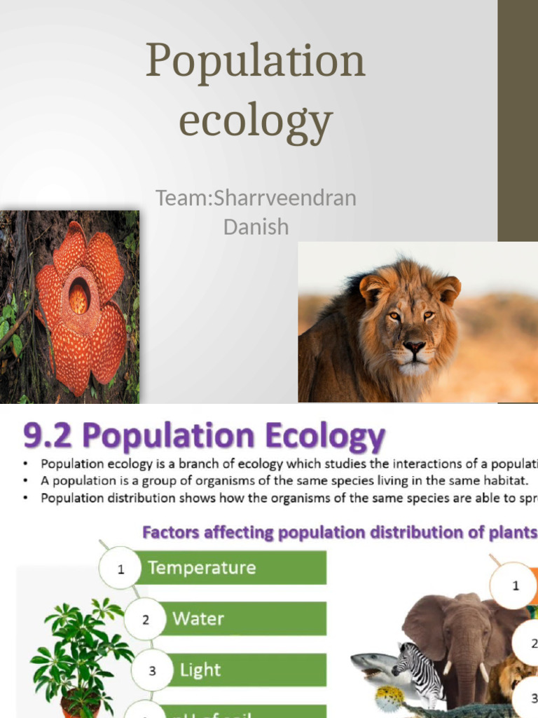 Population Ecology | PDF