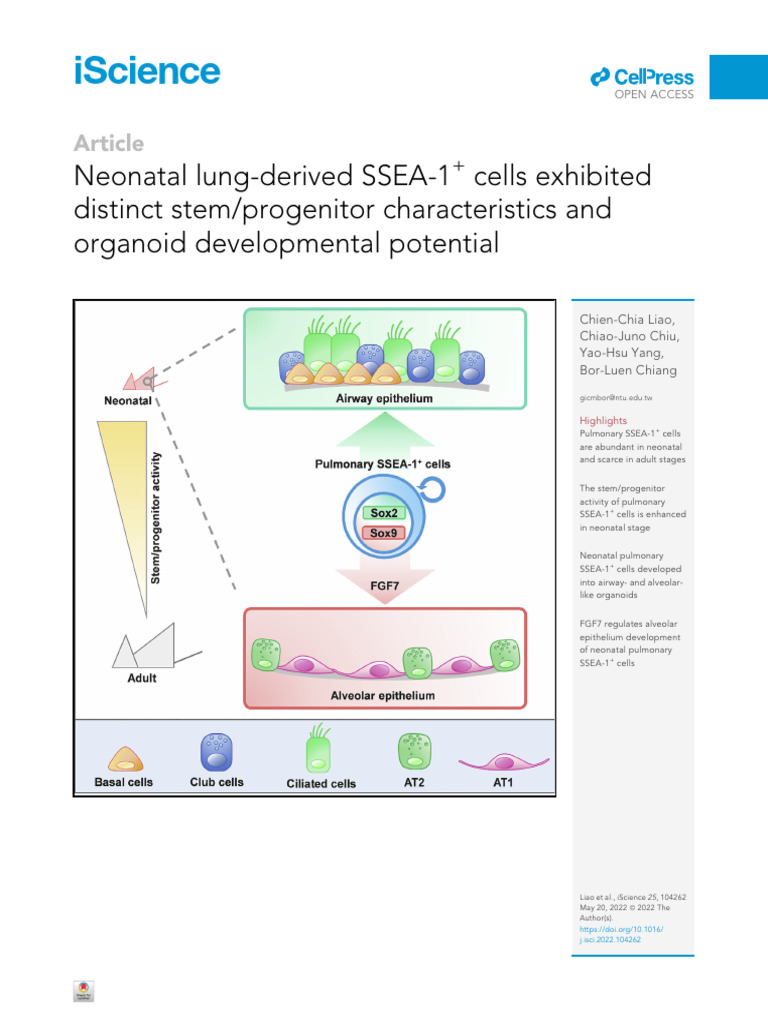 Neonatal Lung-Derived SSEA-1+ Cells Exhibited Distinct Stem ...