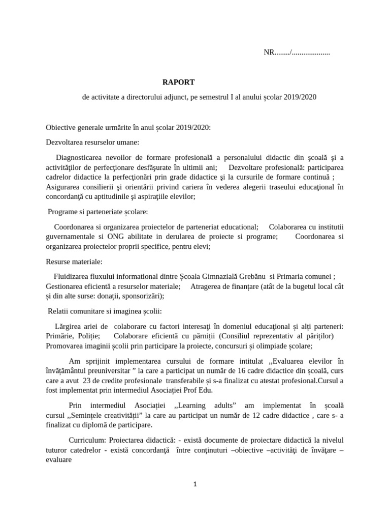 Raport Sem.i Director Adjunct | PDF