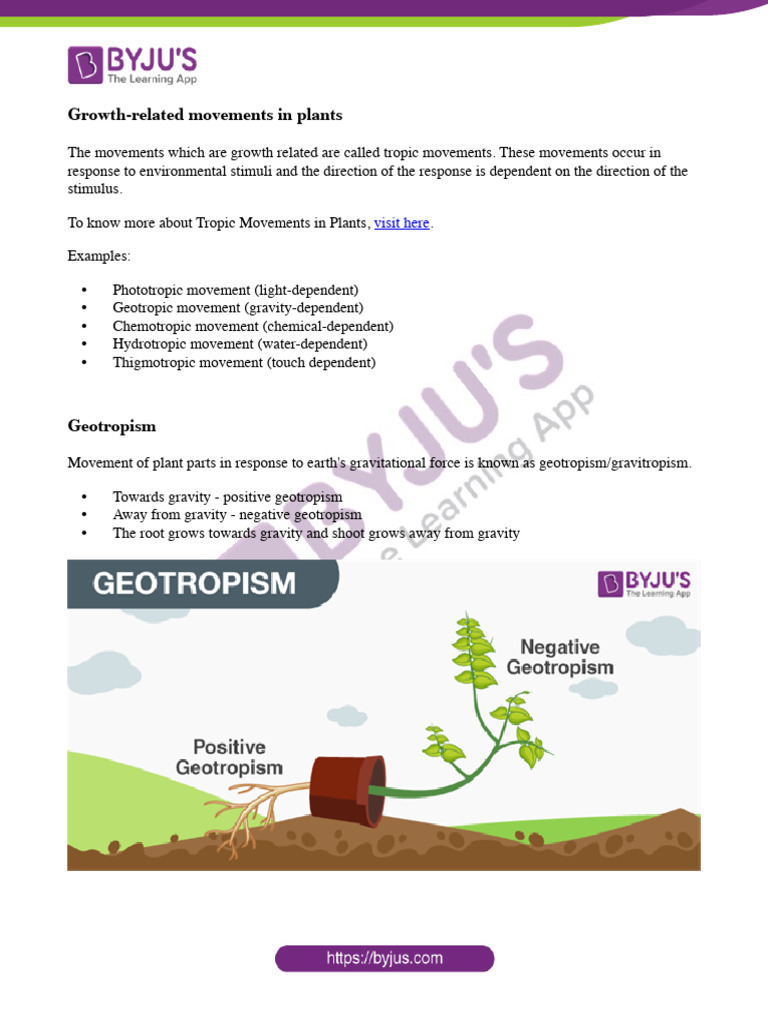 Tropic Movements in Plants Explained | PDF | Endocrine System | Glands