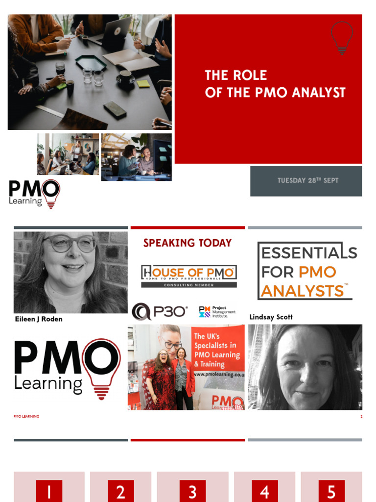 The Role of The PMO Analyst | PDF