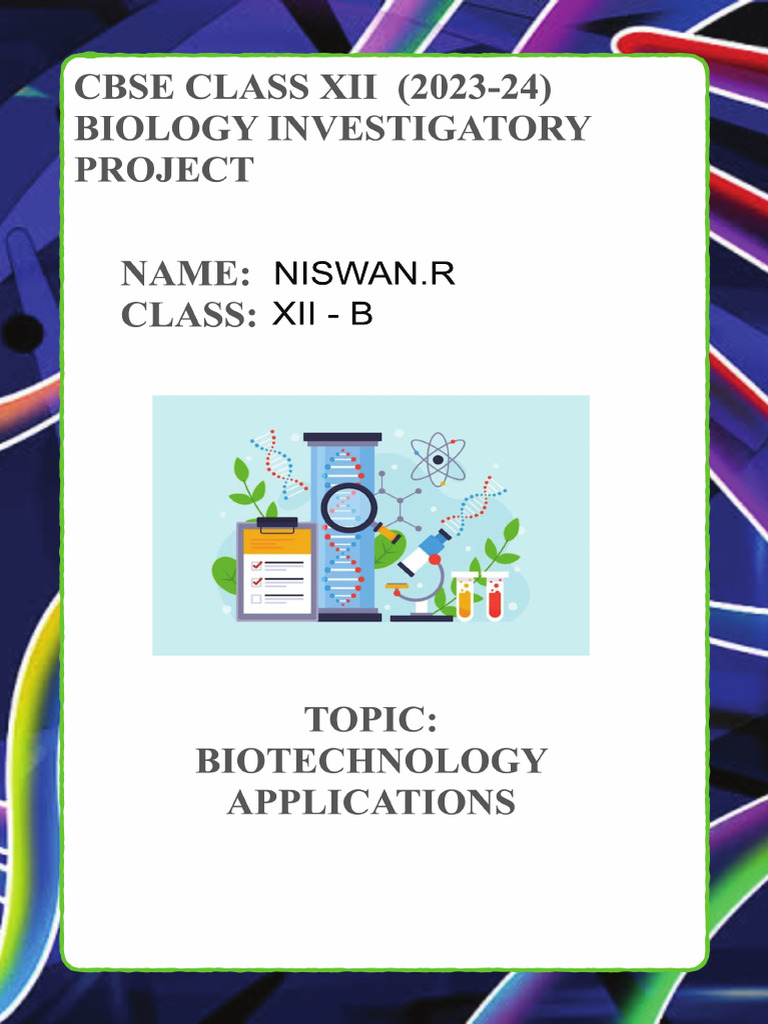 Niswan Project | PDF