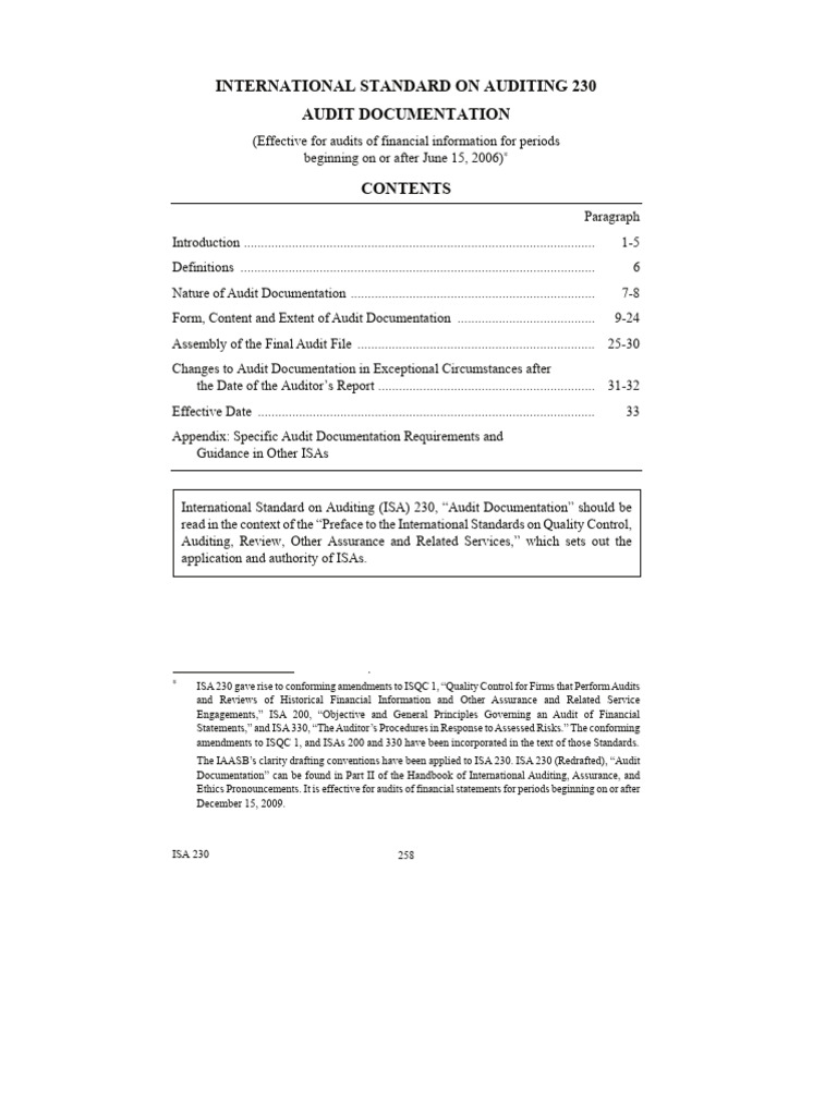 Isa 230 | PDF