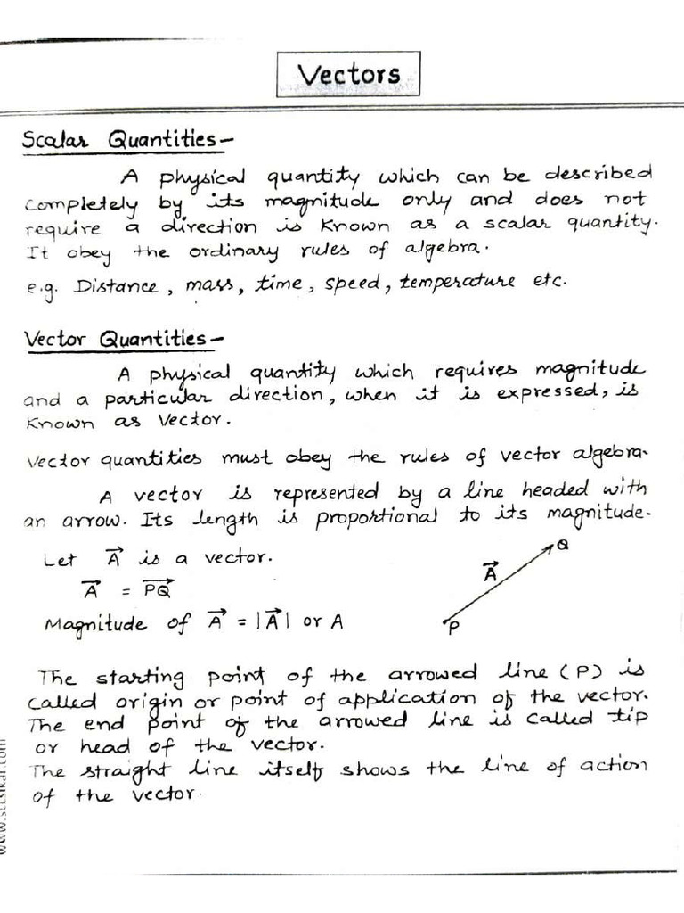 Vector | PDF