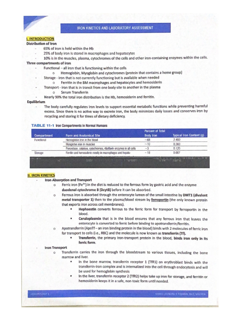 Iron Kinetics and Laboratory Assessment | PDF