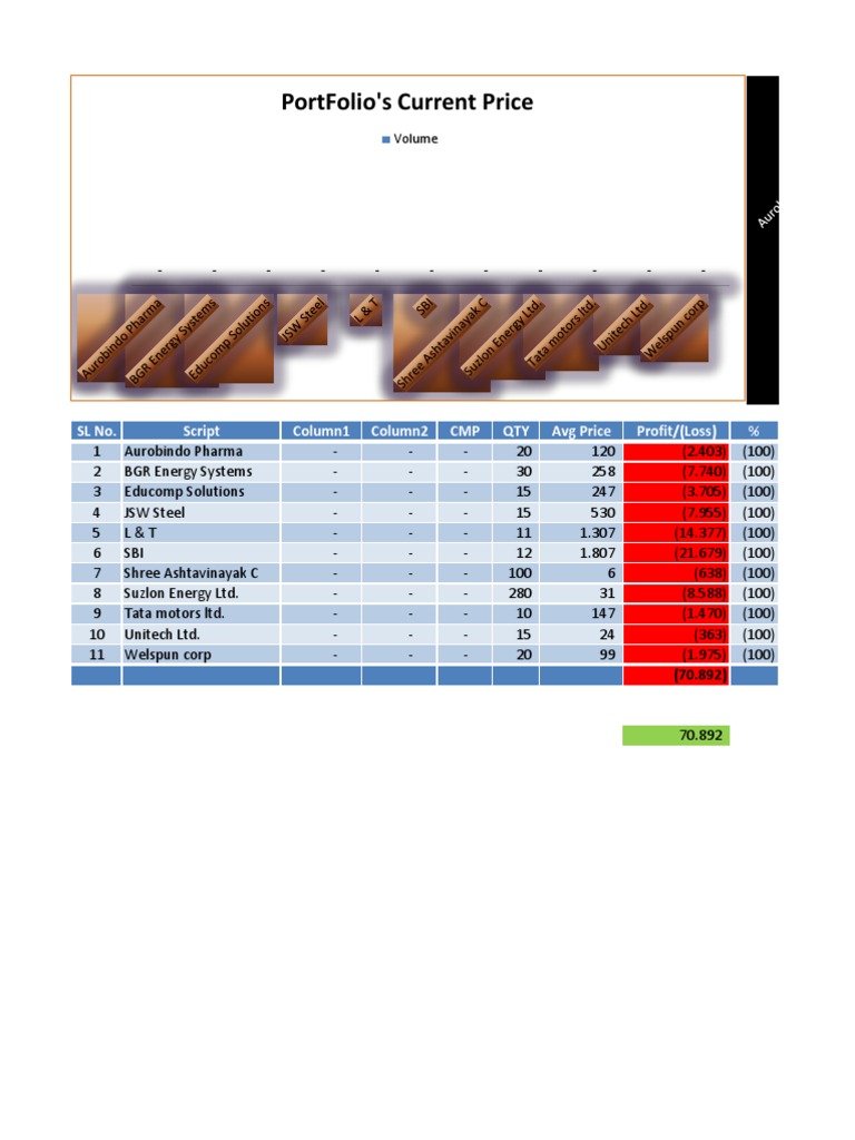 Portfolio Performance Analysis 2023 | PDF