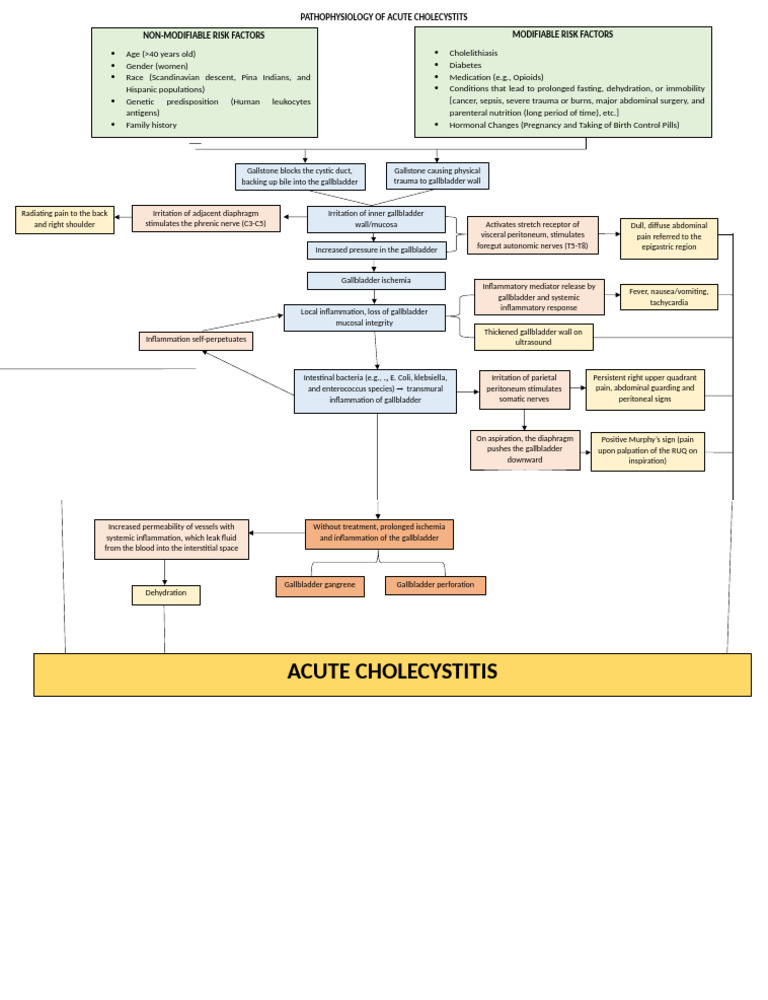Pathophysiology of Acute Cholecystits | PDF