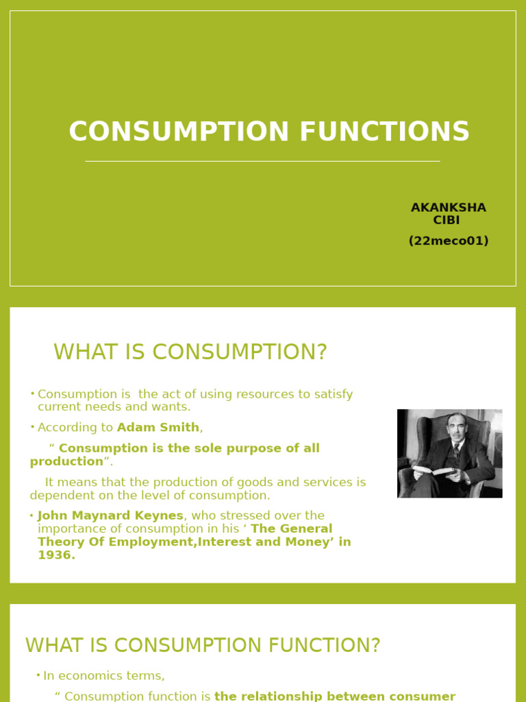 Consumption Functions | PDF