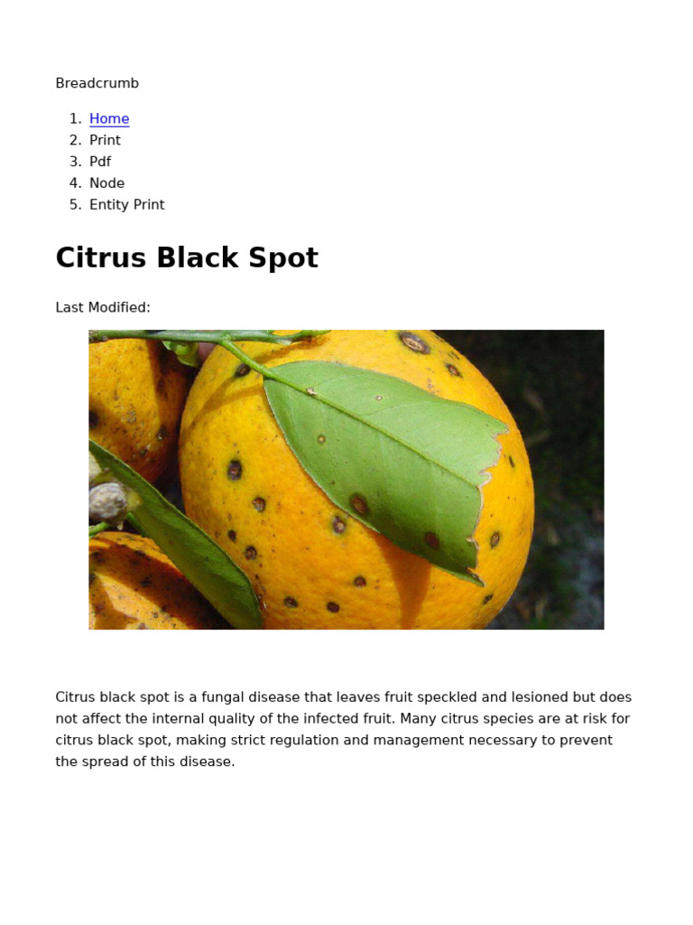 Citrus Black Spot | PDF