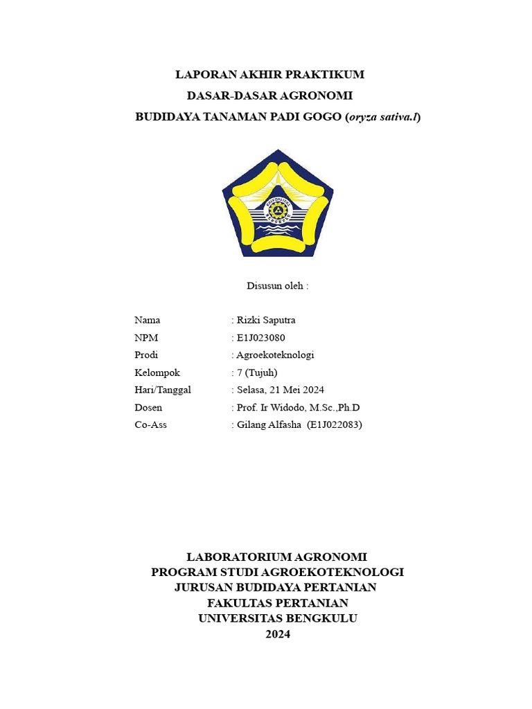 Laporan Akhir Dasgron (Padi Gogo) - Rizki Saputra - E1J021080 PALING ...