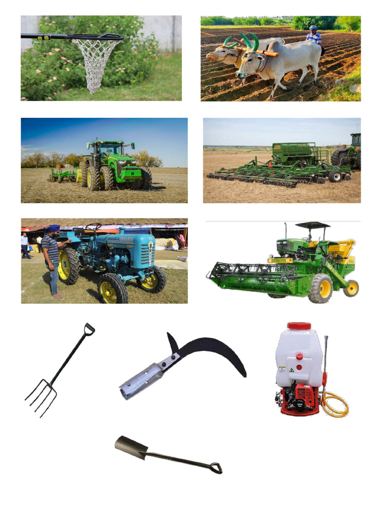 Biology Project Term 2 Pdf