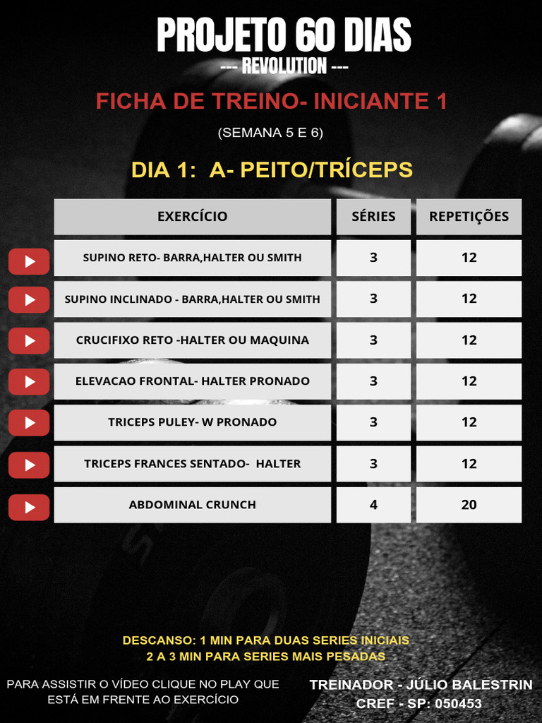 Ficha de Treino-Iniciante 1: Dia 1: A - Peito/Tríceps | PDF