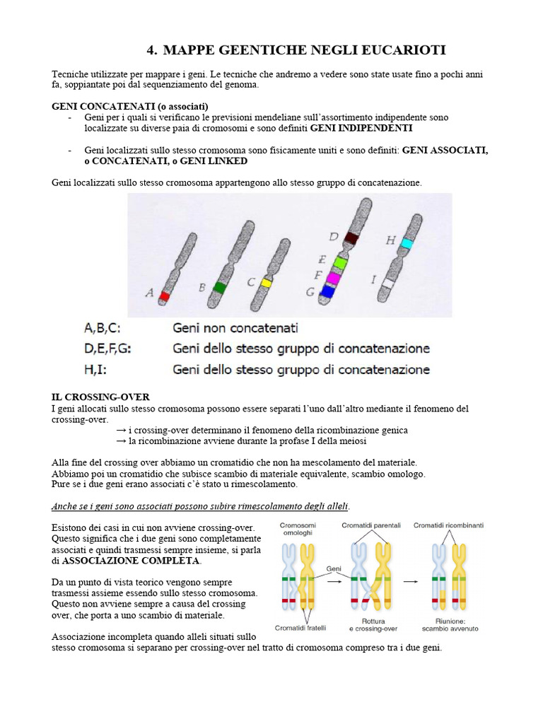GENETICA Lezione 4 | PDF
