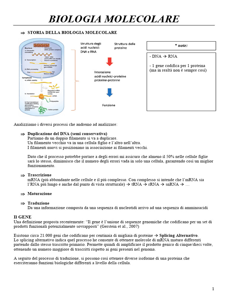 BIOLOGIA MOLECOLARE - Struttura Acidi Nucleici | PDF