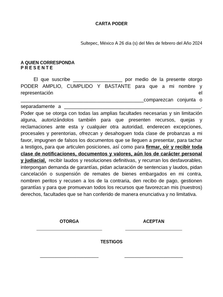 Formato de Carta Poder Simple | PDF | Justicia | Derecho