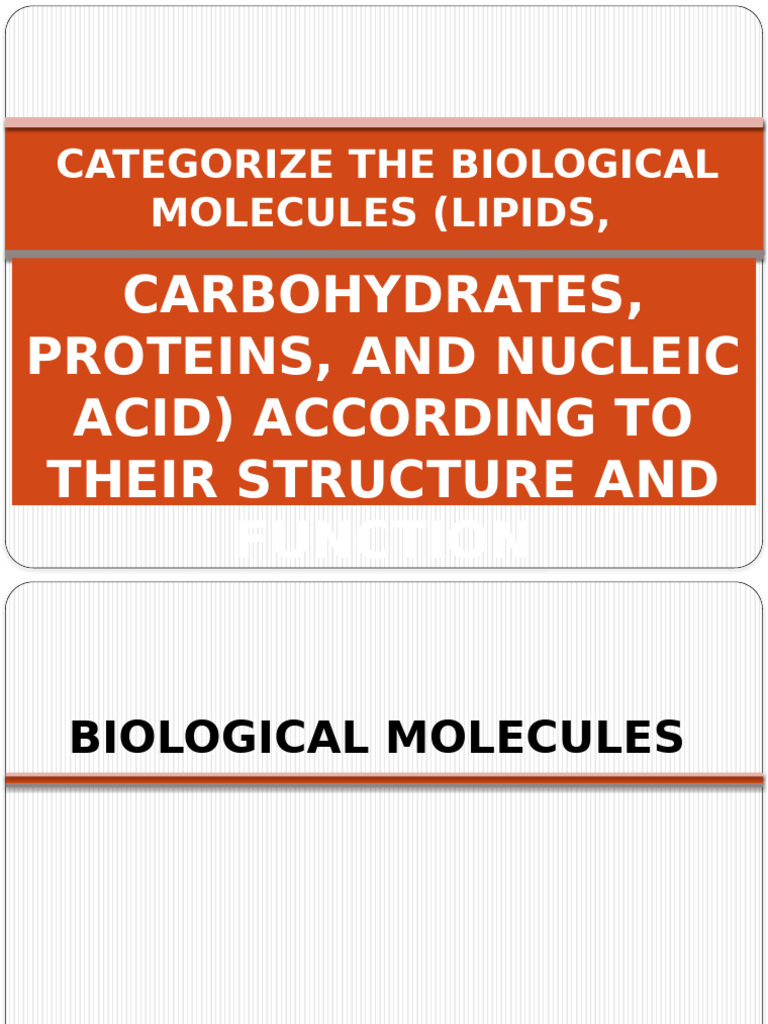 Gen Bio | PDF