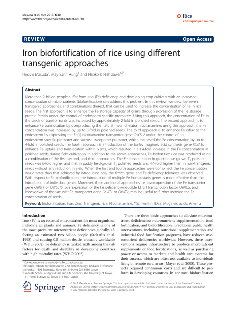 Iron Biofortification of Rice Using Different Transgenic Approaches | PDF