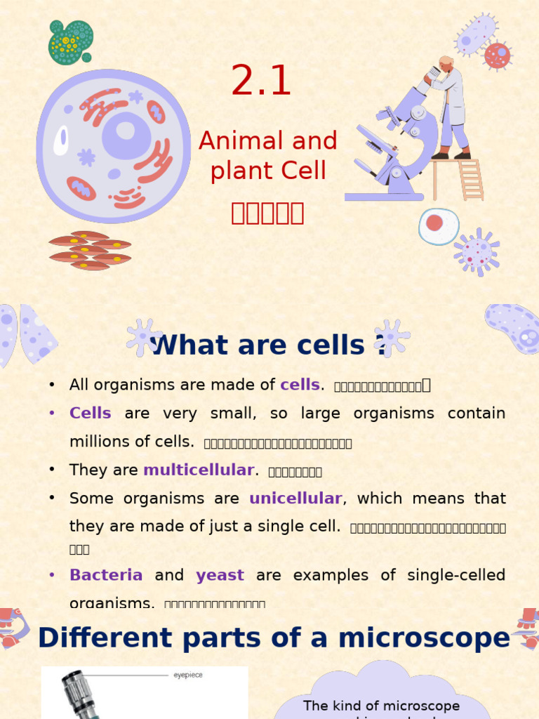 2 Cell | PDF