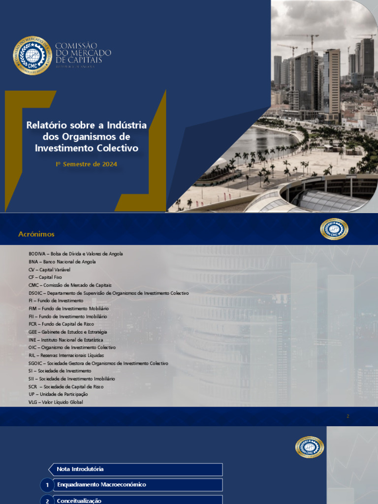 Relat Rio Sobre A Ind Stria Dos OIC I Semestre 2024 1725623643 | PDF