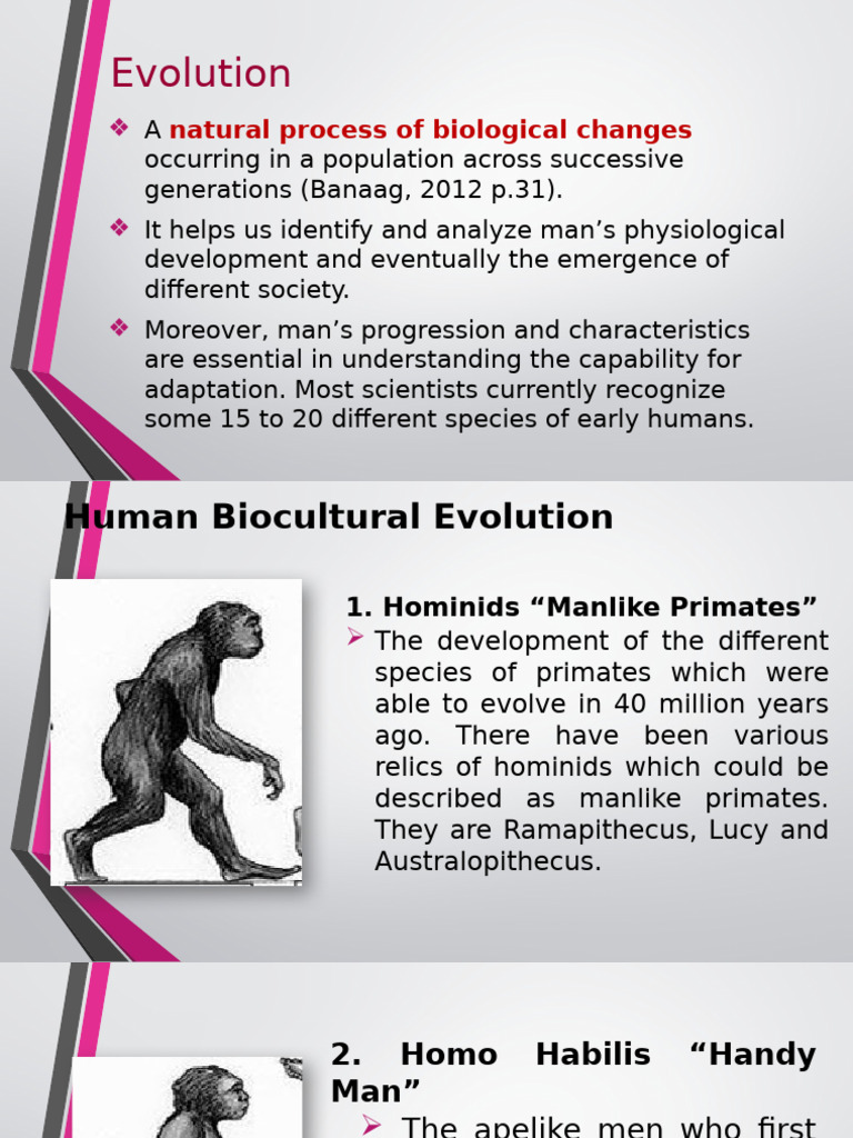 HUMAN-EVOLUTION-AND-CULTURAL-EVOLUTION | PDF