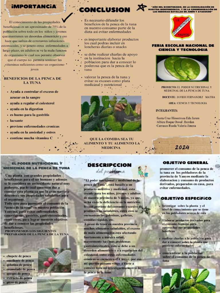 Triptico Final 2 | PDF