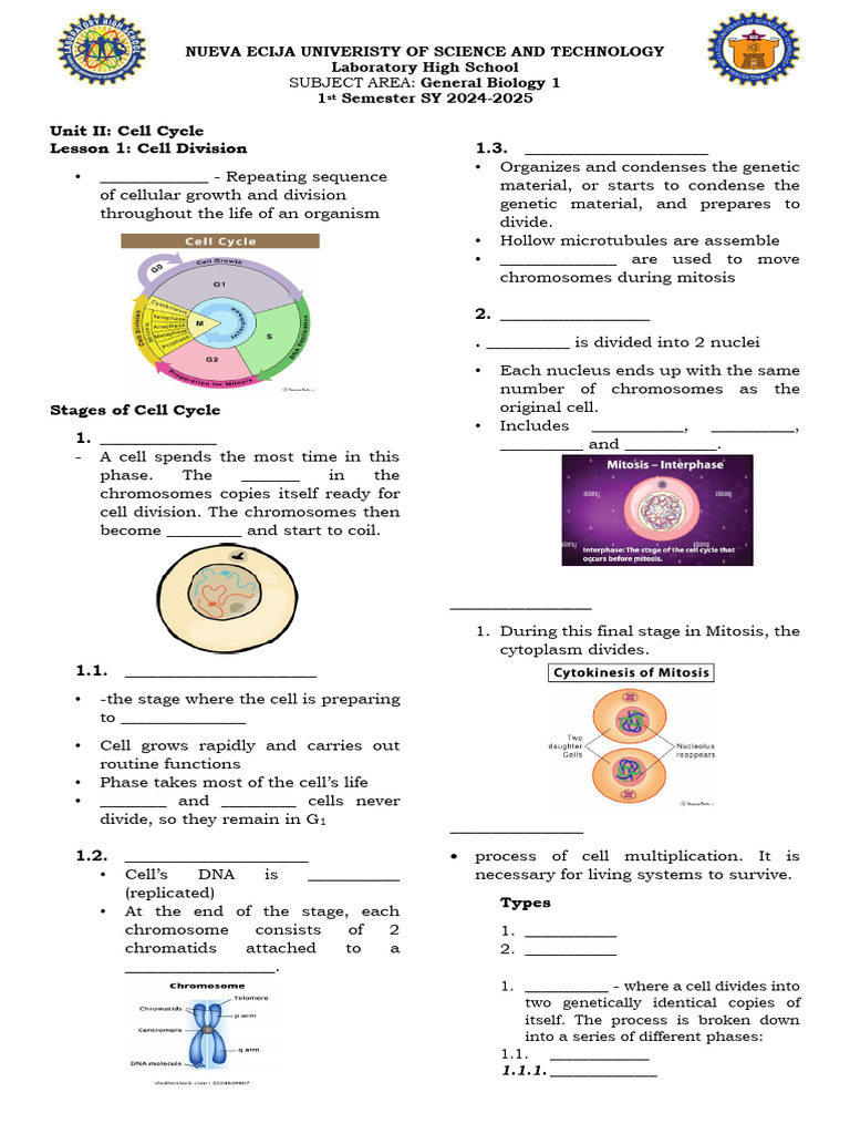 Lesson-6_Cell-Division_LM | PDF