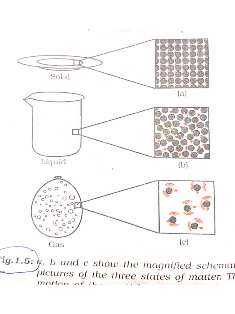 Chemistry Portfolio Class 9 | PDF