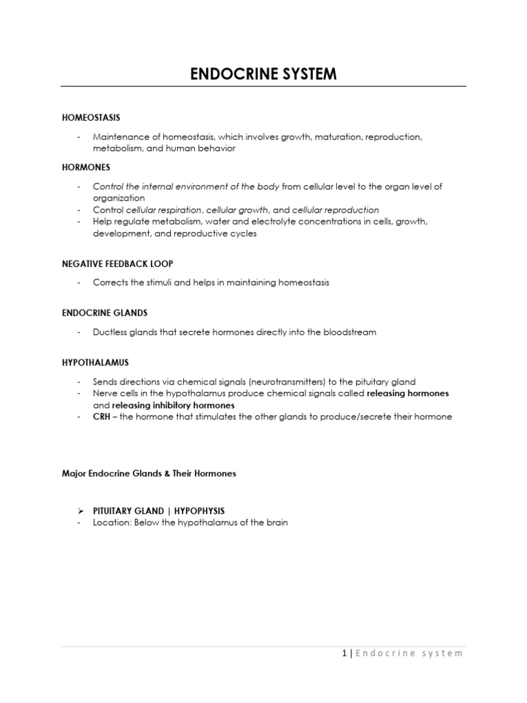 Copy of Endocrine-system | PDF