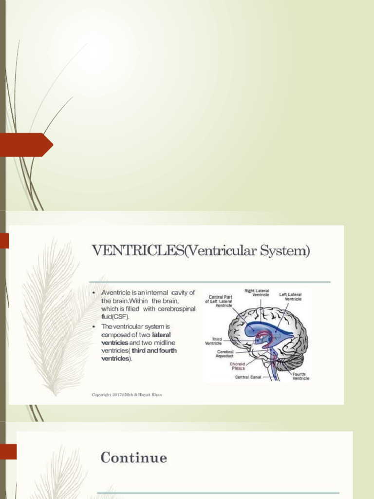 Ventricles of Brain, CSF | PDF