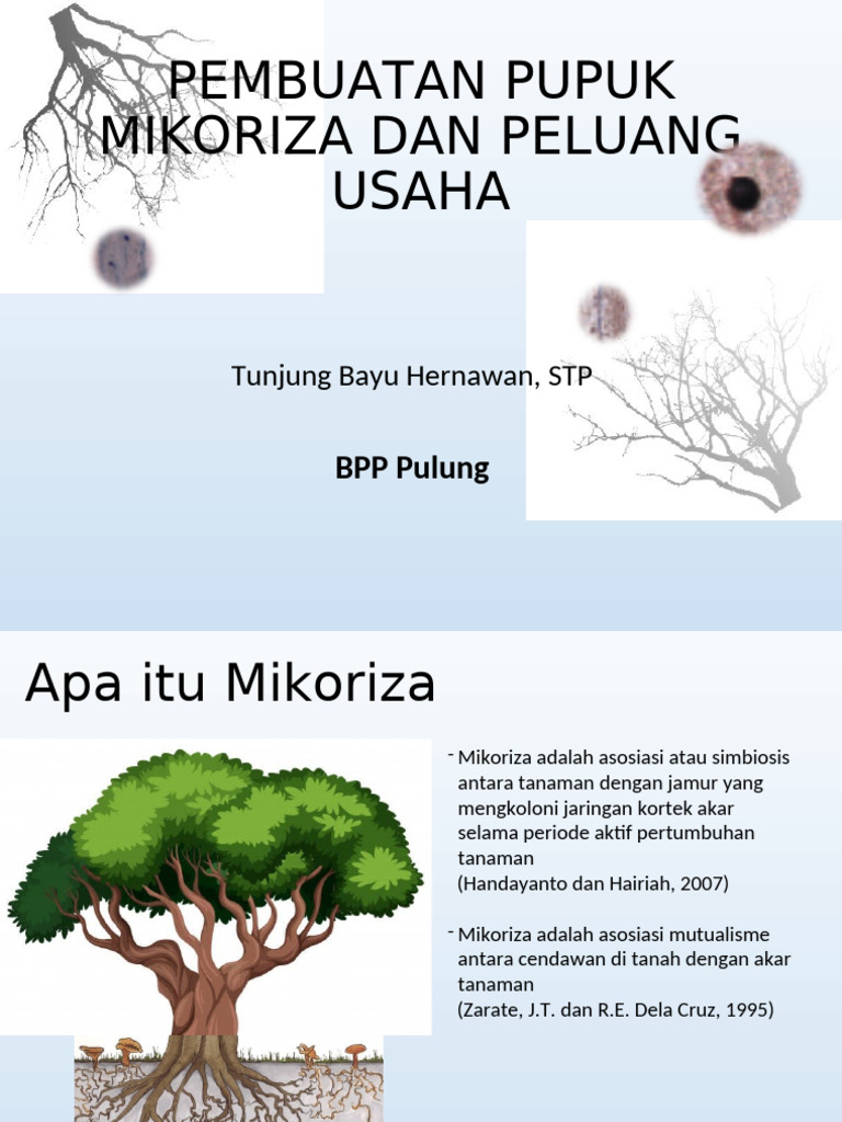 Materi Juli 2024 MIKORIZA | PDF
