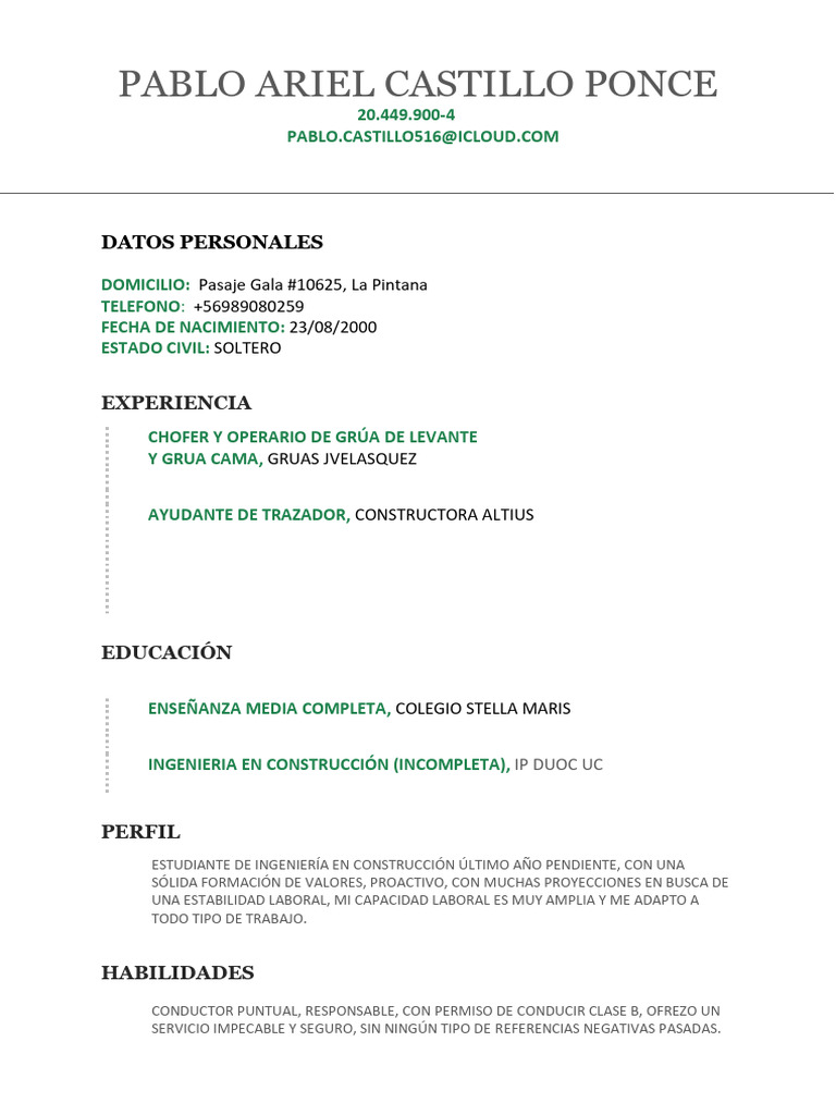 Currículum Pablo Castillo | PDF